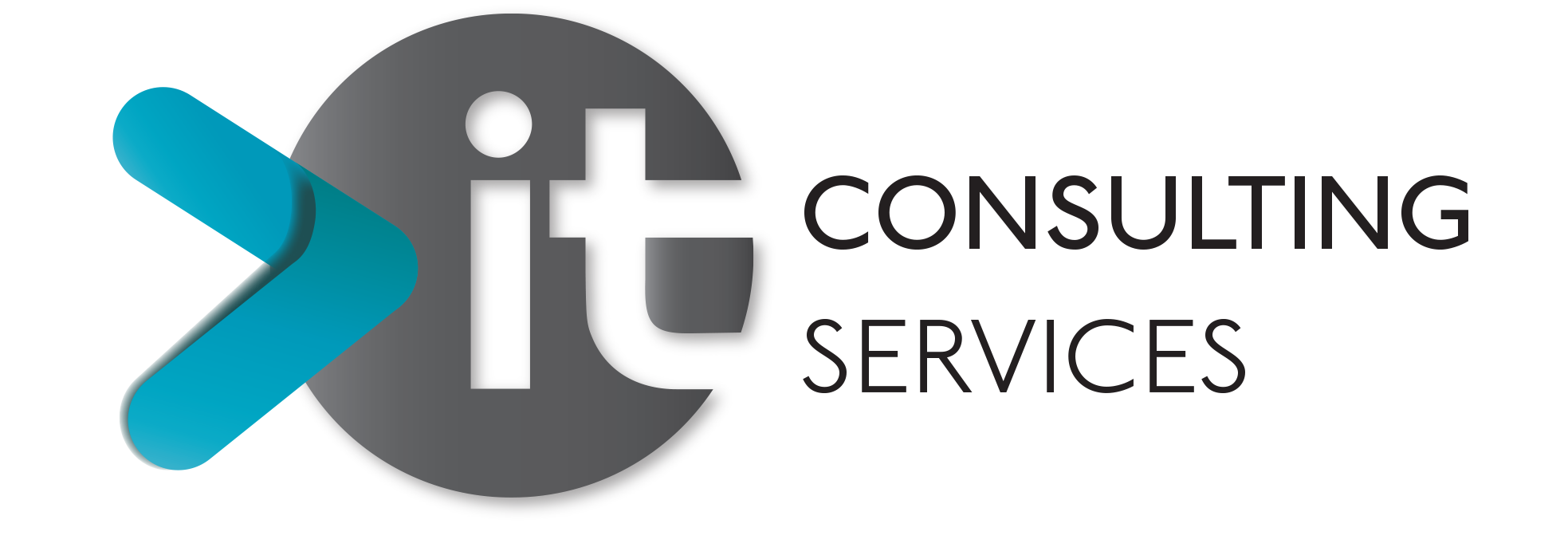 IT Consult – 360holsol